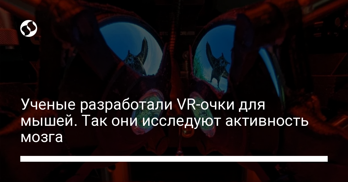 VR-очки для мышей исследуют активность мозга | Новости Украины | LIGA.net